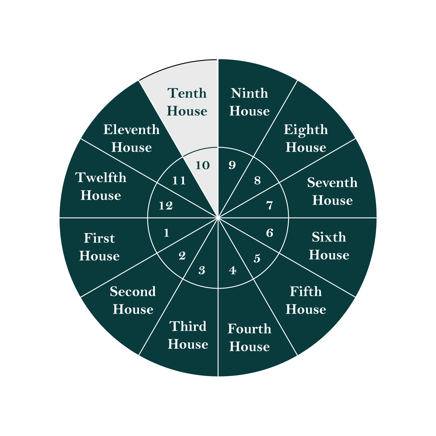 Tenth House - AstroYou