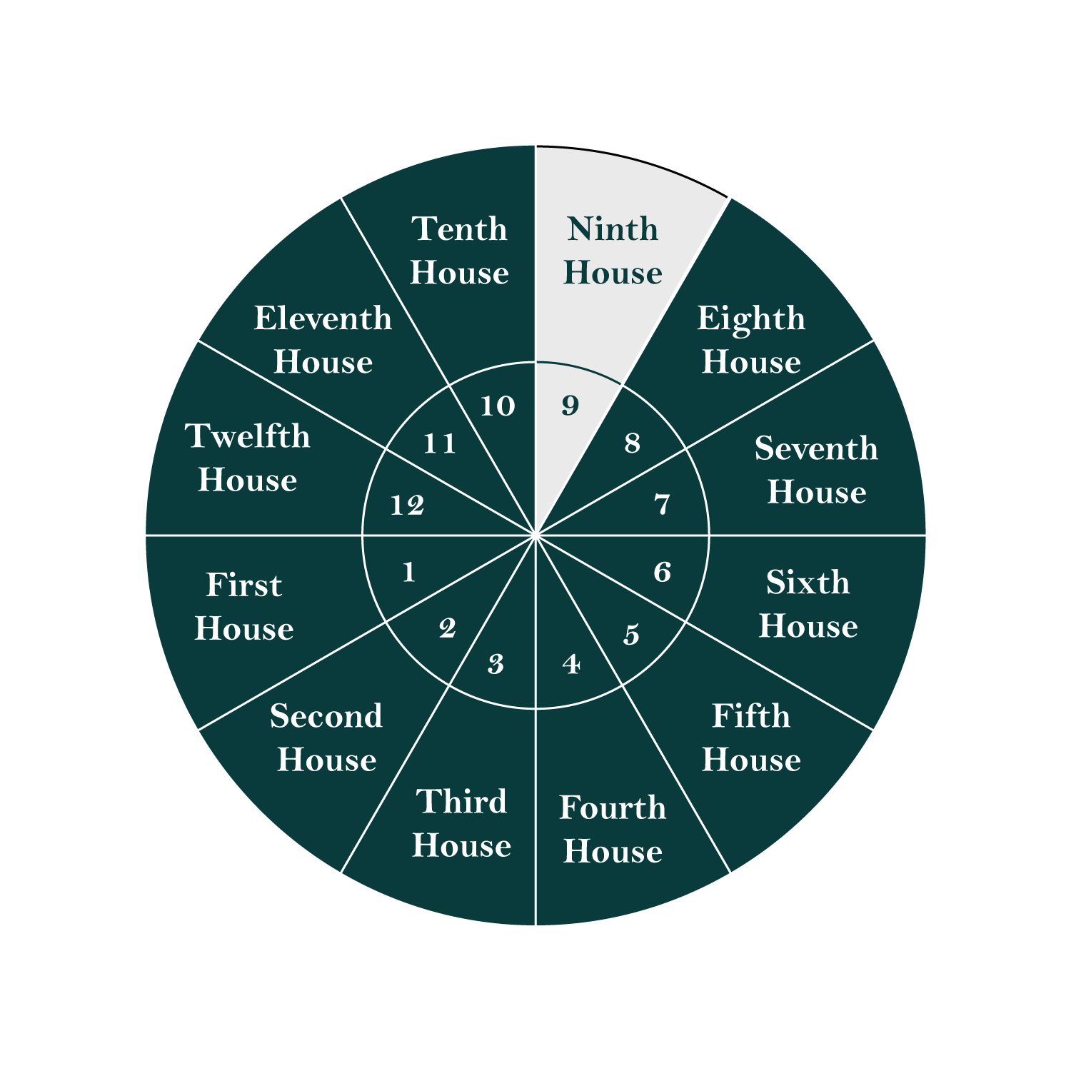Ninth House - AstroYou